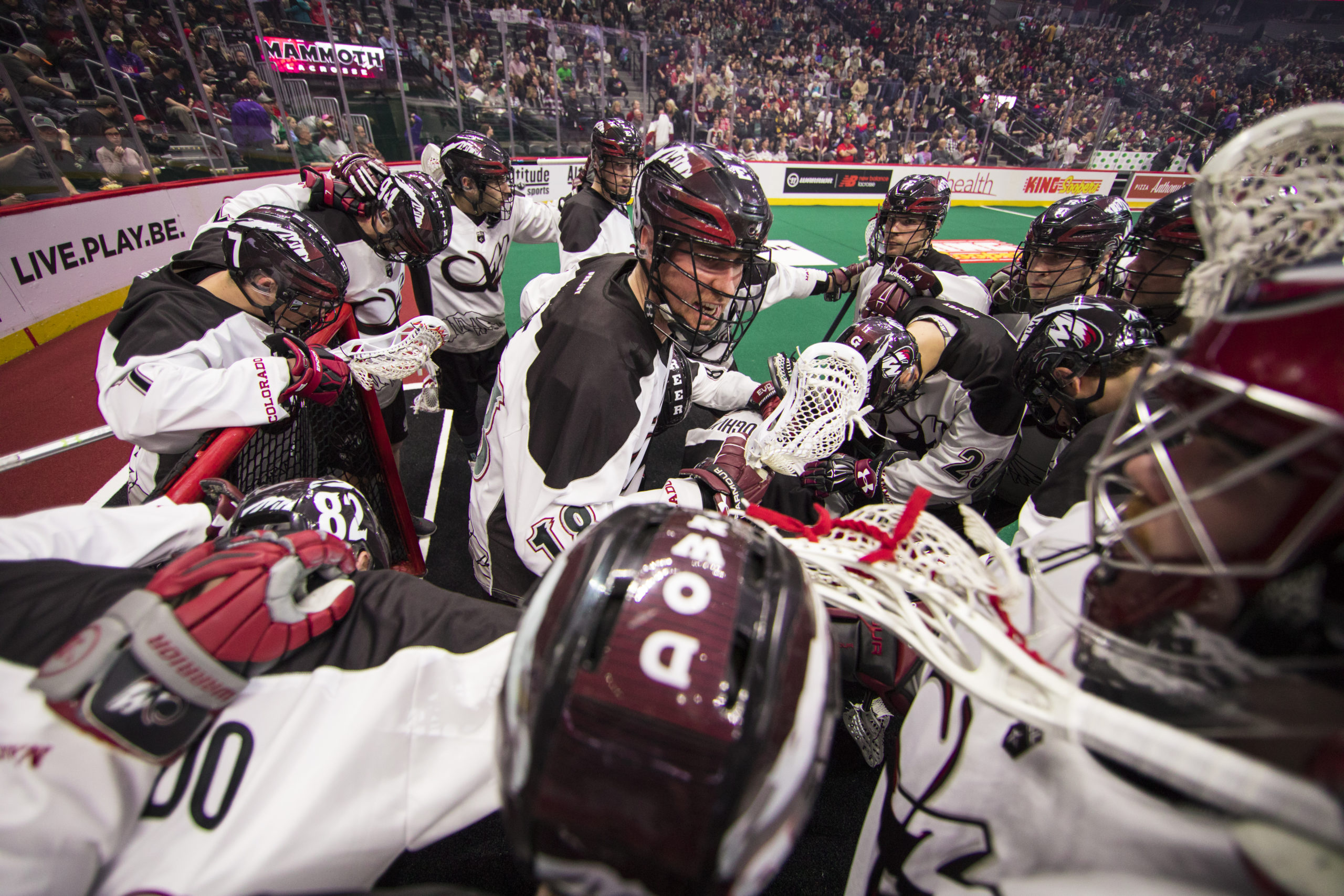 Mammoth Back In Action And Looking To Rebound This Weekend Versus ...