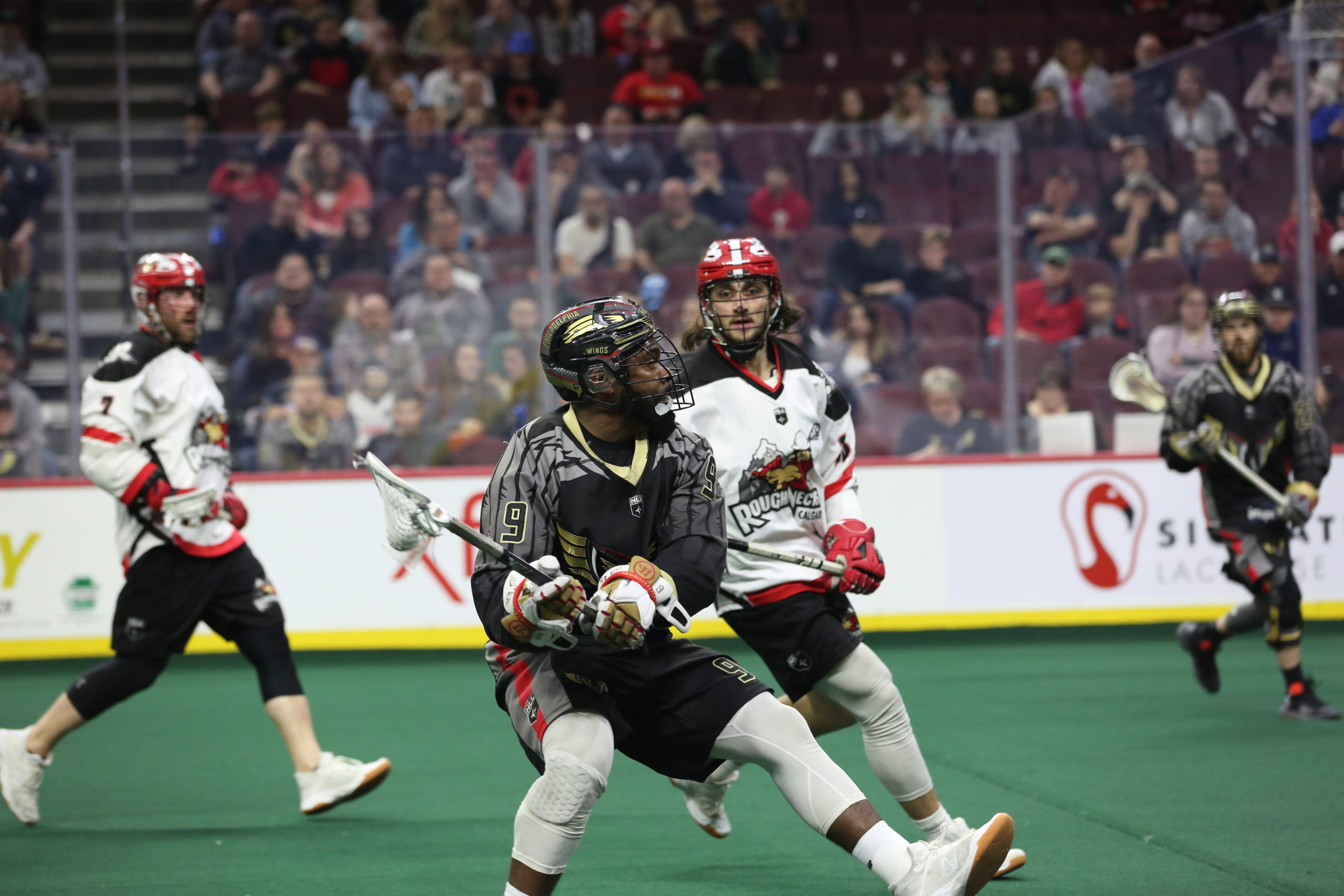 Roughnecks End Wings’ Playoff Hopes With Dominant Win - NLL