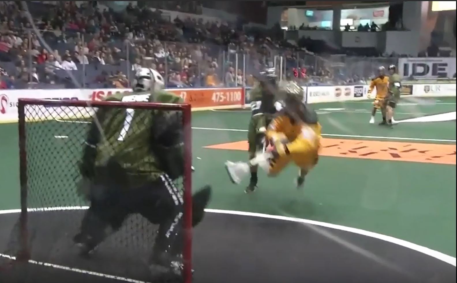 Shayne Jackson gets hat trick in Swarm blowout win