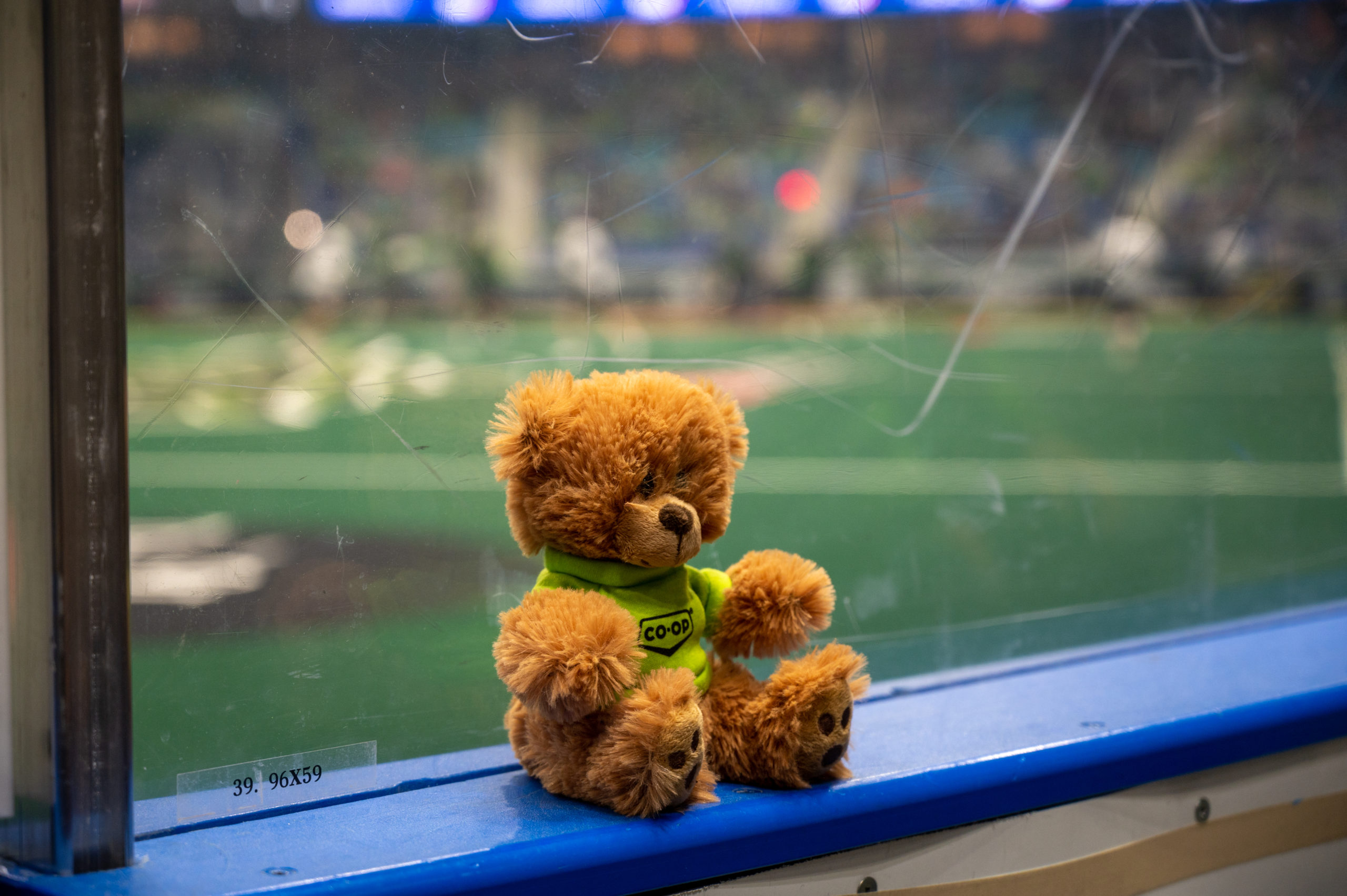 LET THE BEARS FLY! Robert Church's teddy bear goal - NLL