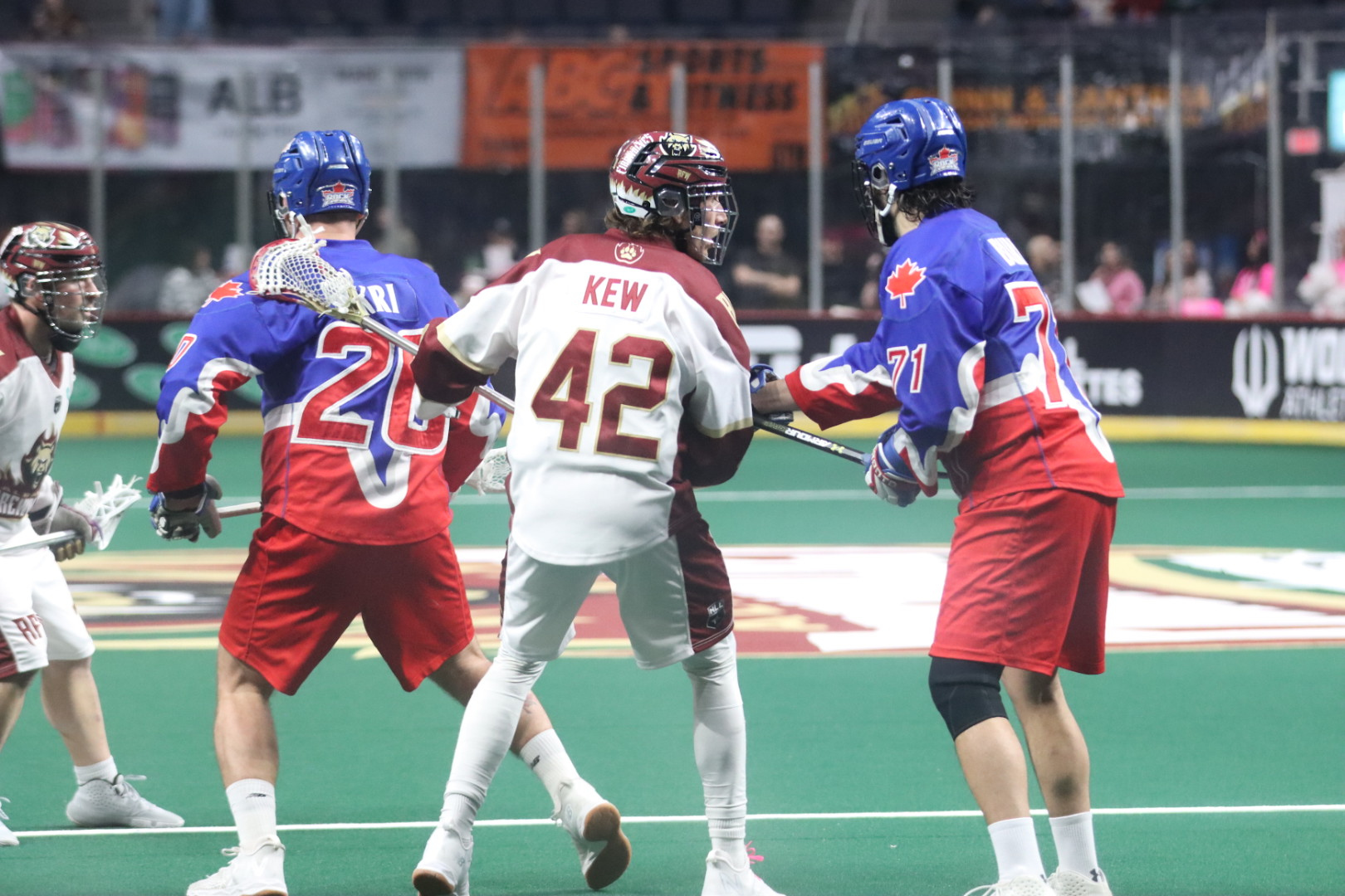 Toronto Rock vs Albany FireWolves | Game Highlights - NLL Toronto Rock vs Albany FireWolves | Game Highlights - NLL