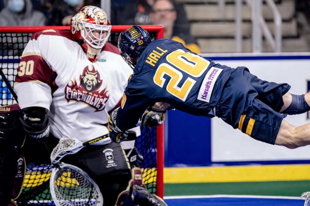Albany FireWolves vs Georgia Swarm - Game Highlights - NLL Albany FireWolves vs Georgia Swarm - Game Highlights - NLL
