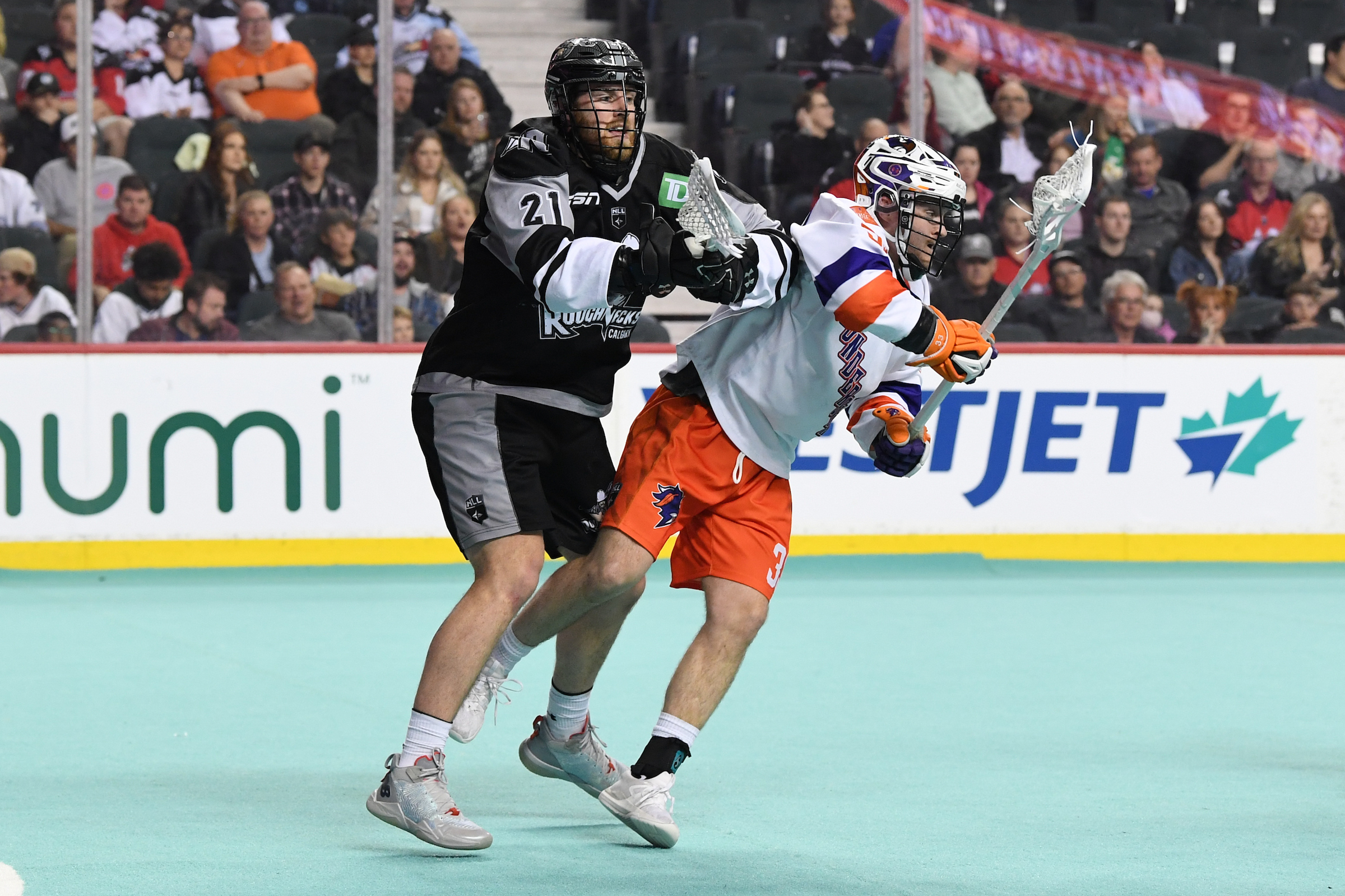 Halifax Thunderbirds vs Calgary Roughnecks | Game Highlights - NLL
