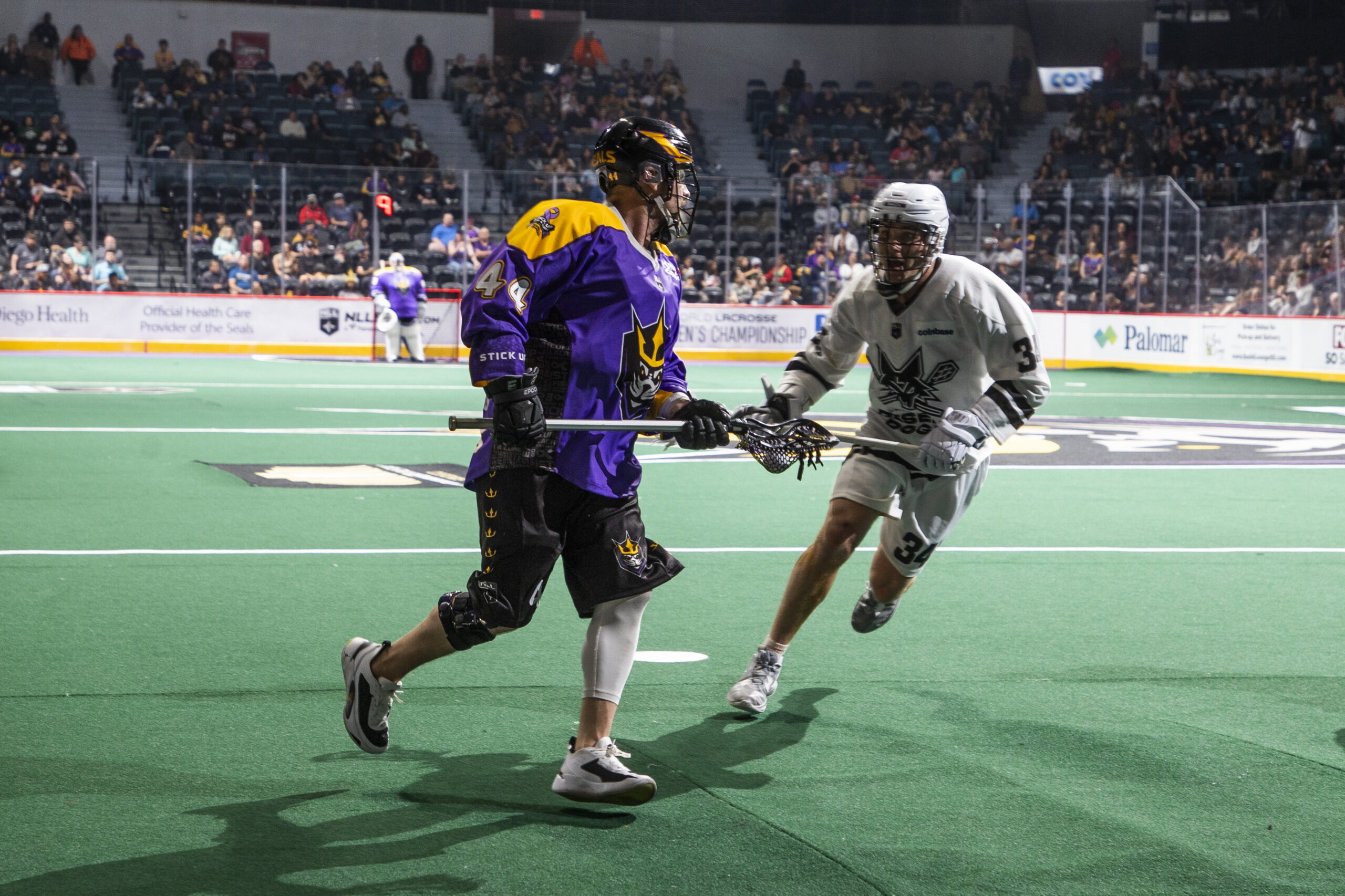 HIGHLIGHTS | Las Vegas Desert Dogs vs San Diego Seals - NLL