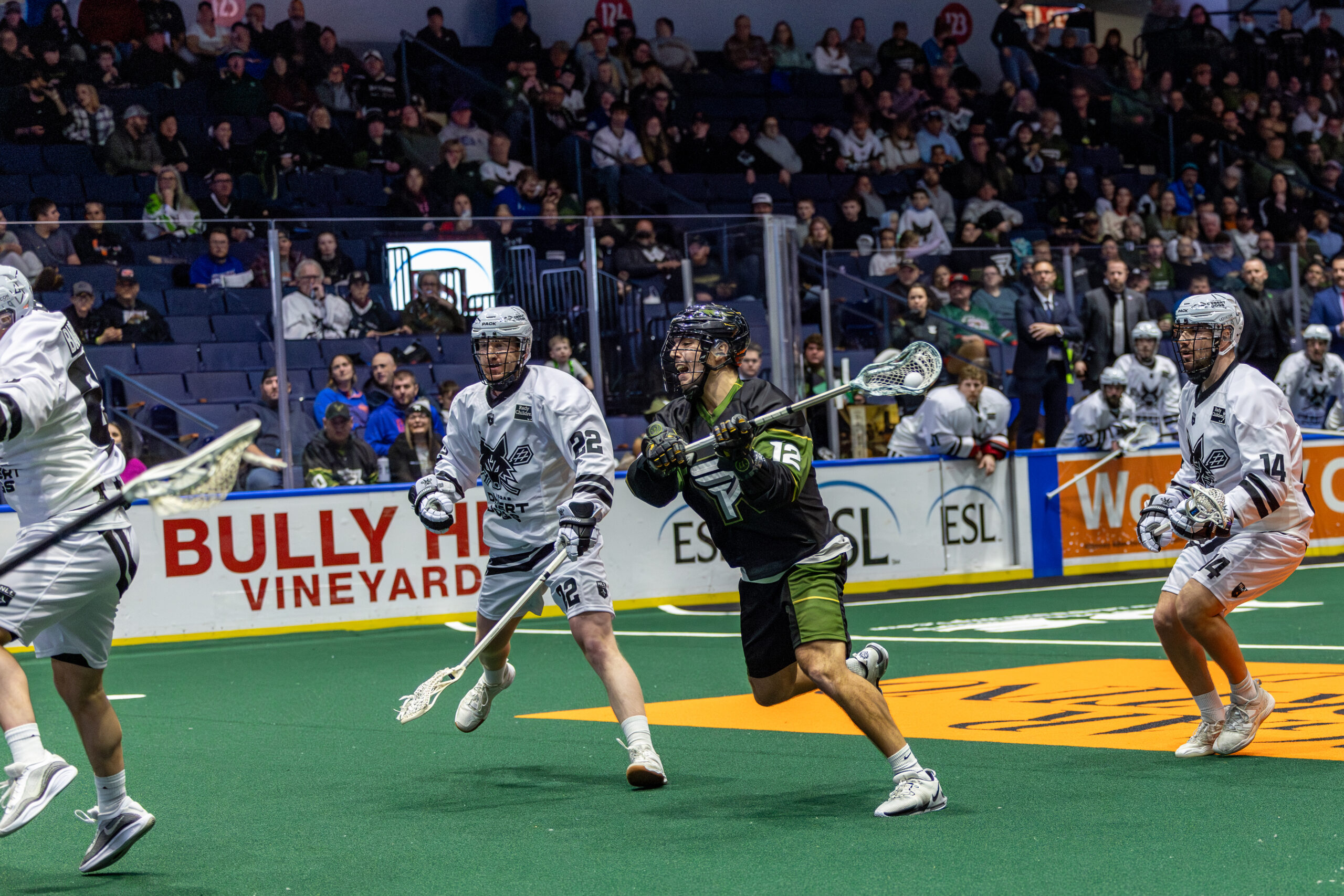 Game Highlights | Las Vegas Desert Dogs vs Rochester Knighthawks - NLL