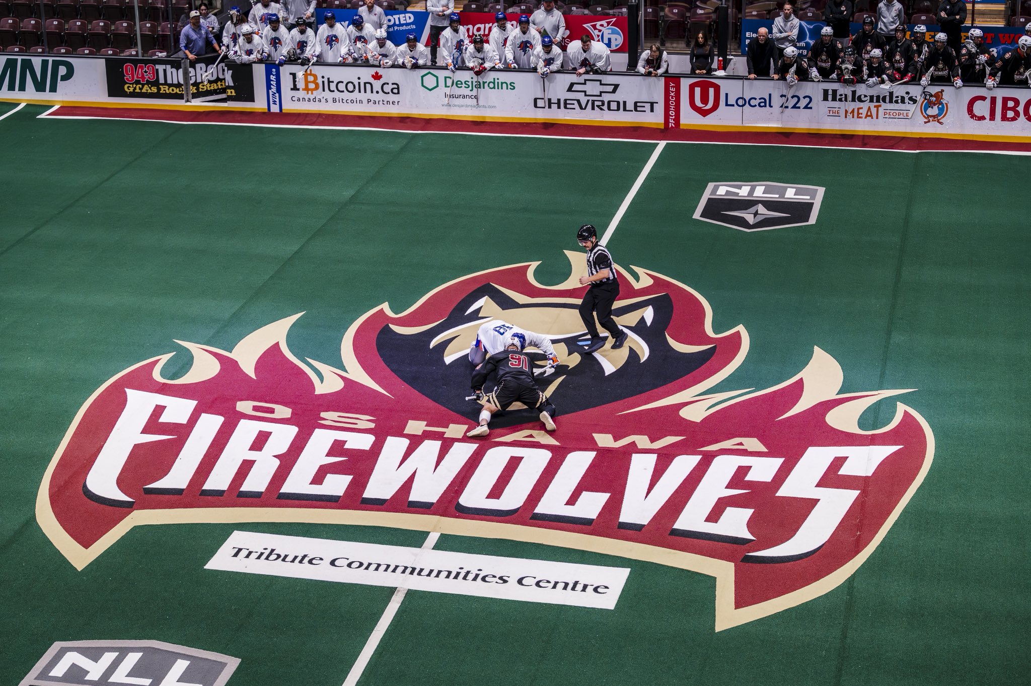 FireWolves vs. Rock: New NLL Rivalry